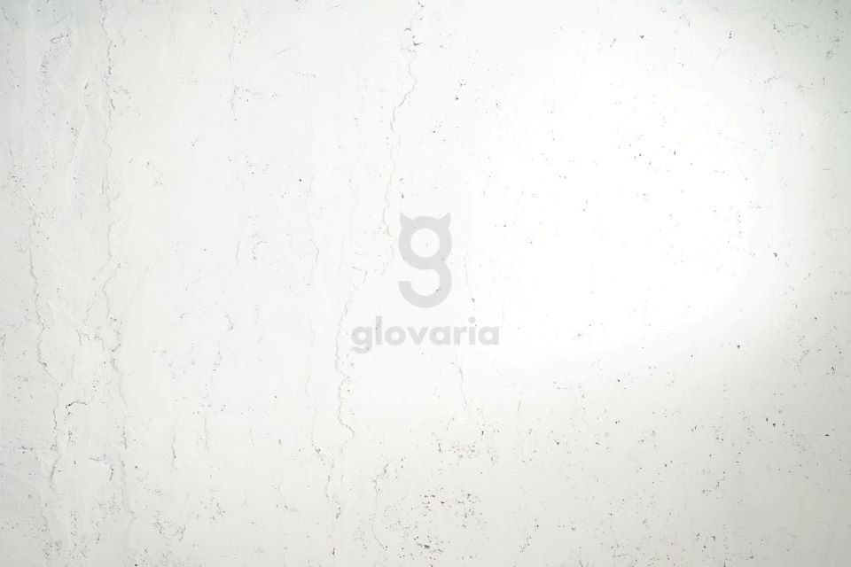 glovaria inc. | 株式会社glovaria（グローヴァリア）